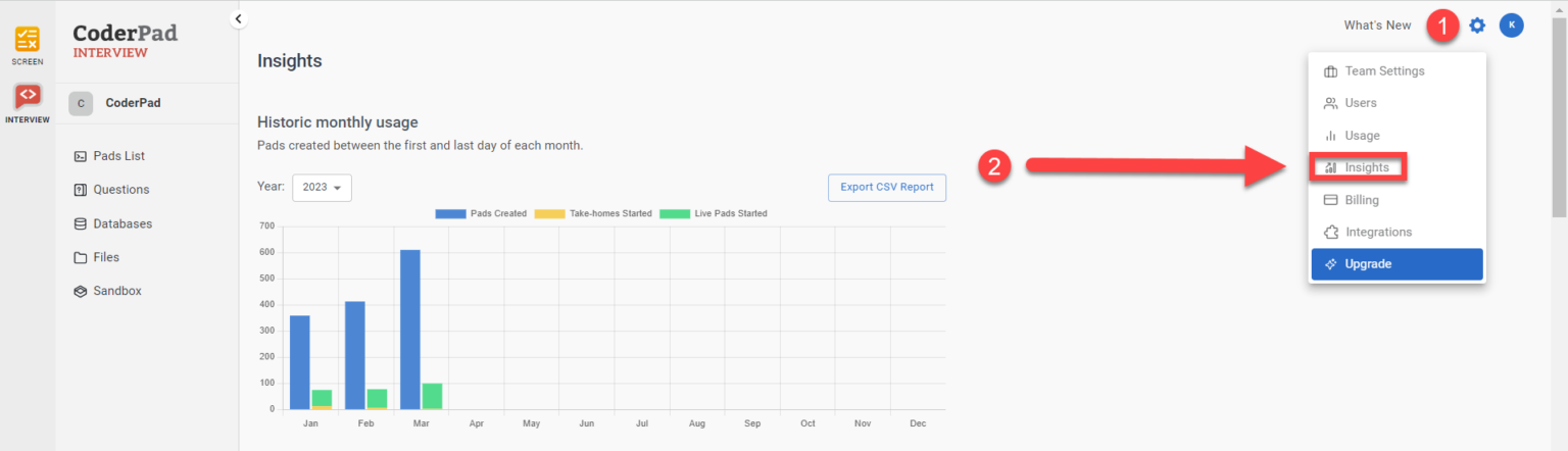 Insights - CoderPad Interview Docs